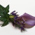 Flower Design Sample Photos learned at the Schools of Flower Design