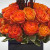 Flower Design Sample Photos learned at the Schools of Flower Design