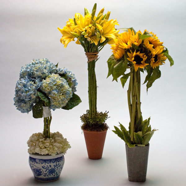 Flower Design Sample Photos learned at the Schools of Flower Design