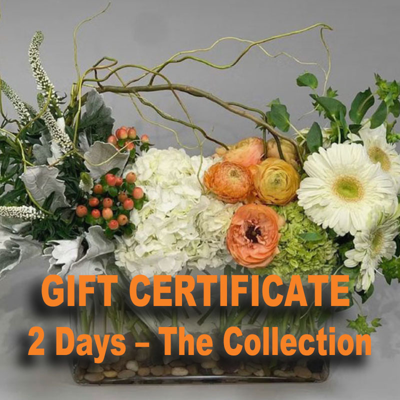 2 Days – The Collection - Gift Certificate